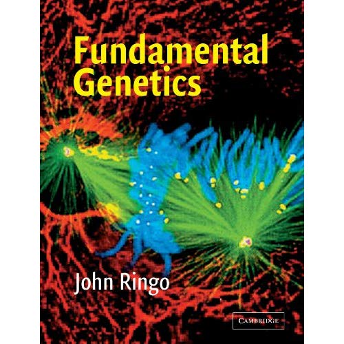 0521006333.01._SS500_SCLZZZZZZZ_V1056466915_1024x1024.jpg?v=1579309453