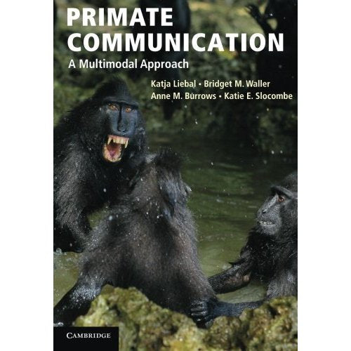 0521178355.01._SS500_SCLZZZZZZZ_V1056466915_1024x1024.jpg?v=1518447724